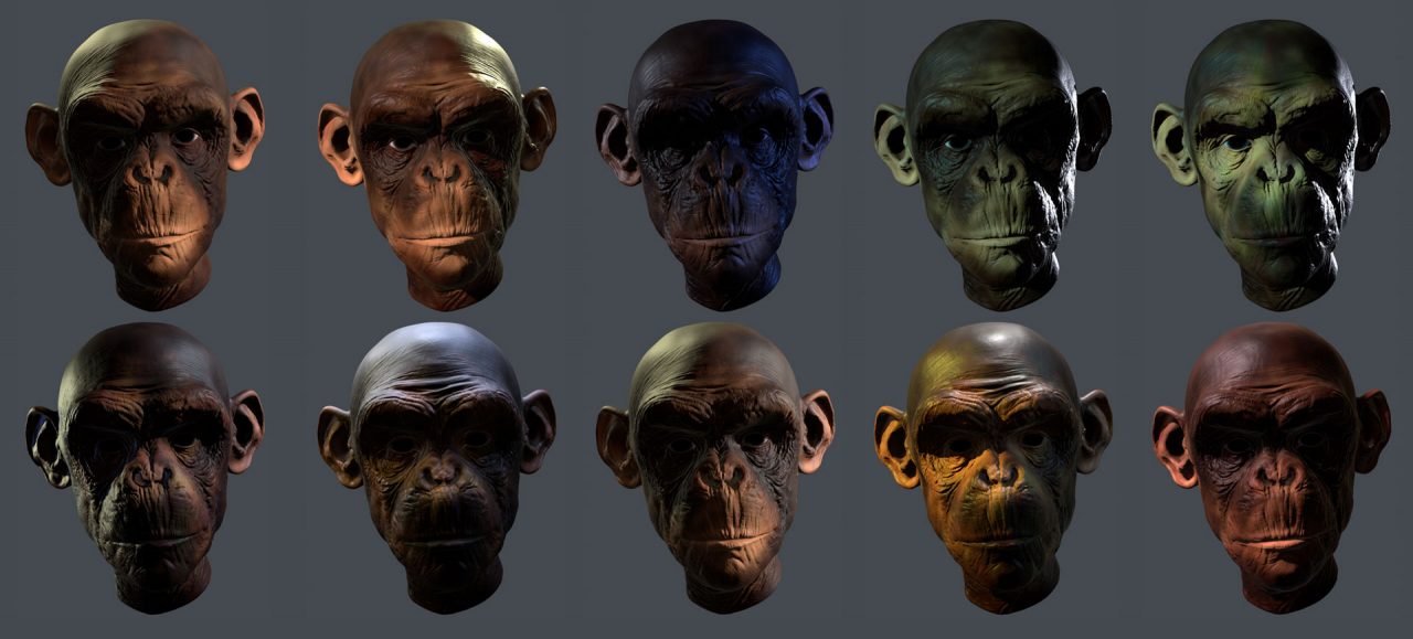 Rendering a Humanzee Character in Toolbag | Marmoset Toolbag